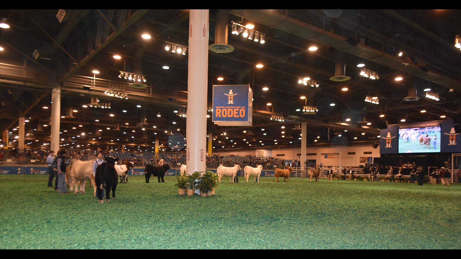 Los Tigres Del Norte sets new attendance record at Houston Livestock ...