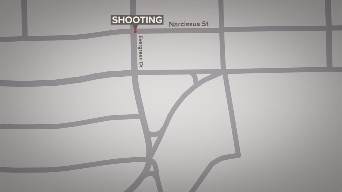 Houston Texas Crime Woman Killed In Drive By Shooting Hpd Says