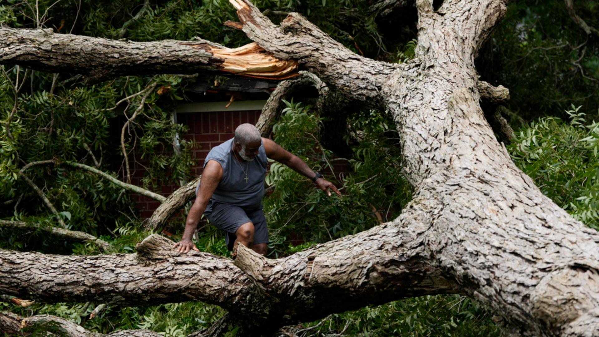 Hurricane Beryl damage in Houston | 311 service calls: Map | khou.com