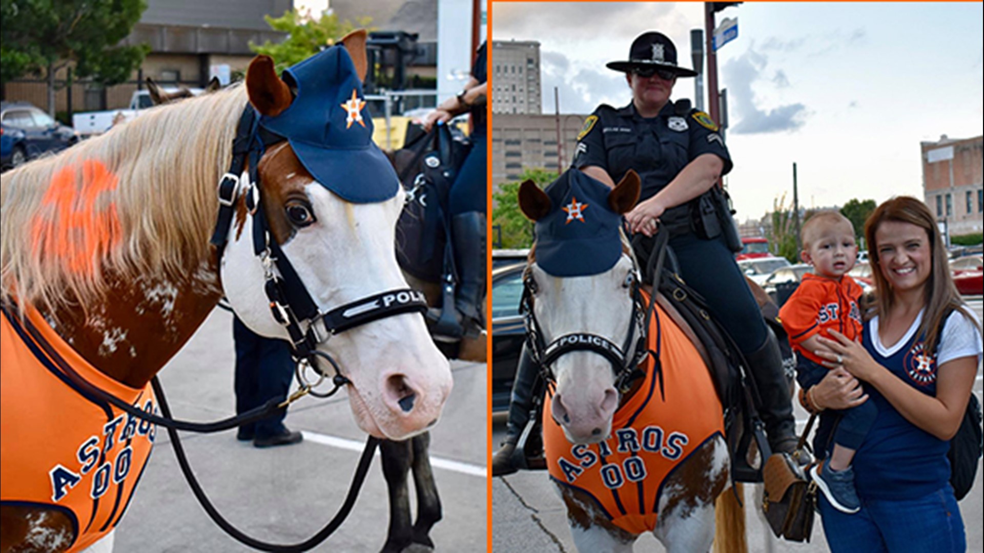 Houston Police Department Mounted Patrol horse dies at 15 | khou.com