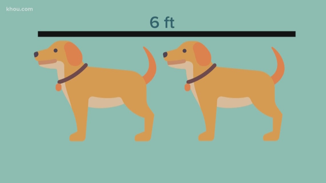 As you social distance, here are examples to help estimate how far away ...