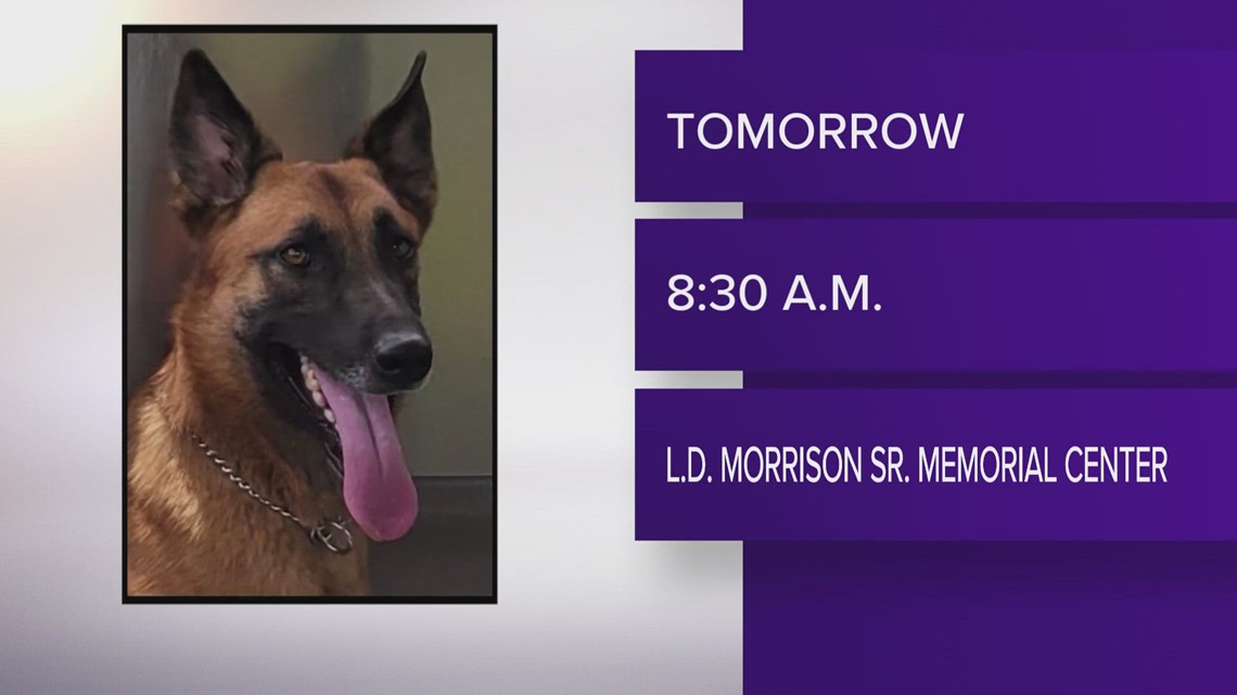 HPD K-9 that died from heat exhaustion will be honored during memorial ...