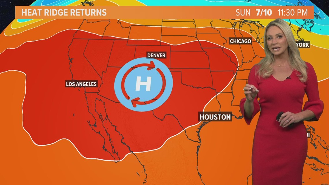 Brand new Rocko's Modern Life movie will premiere on Netflix | khou.com