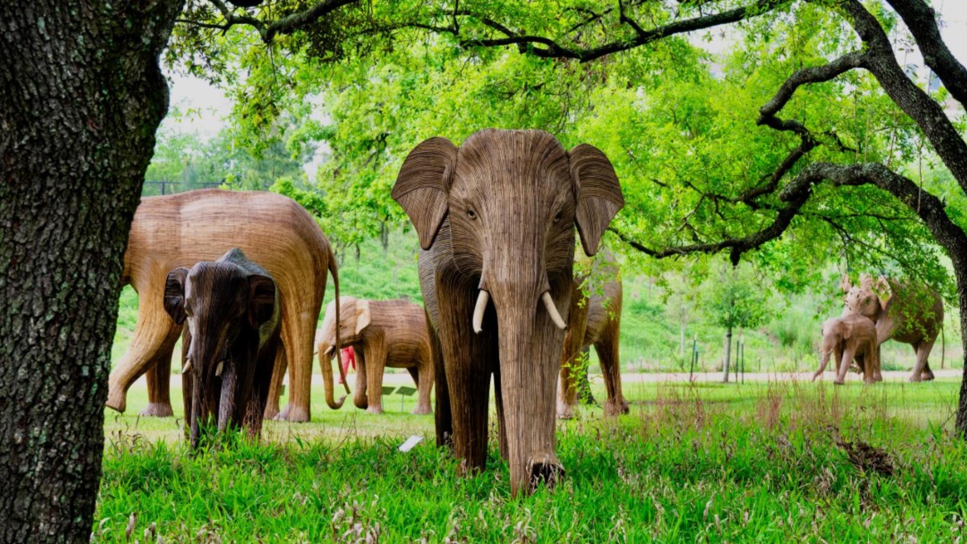 What is an NES school? | khou.com