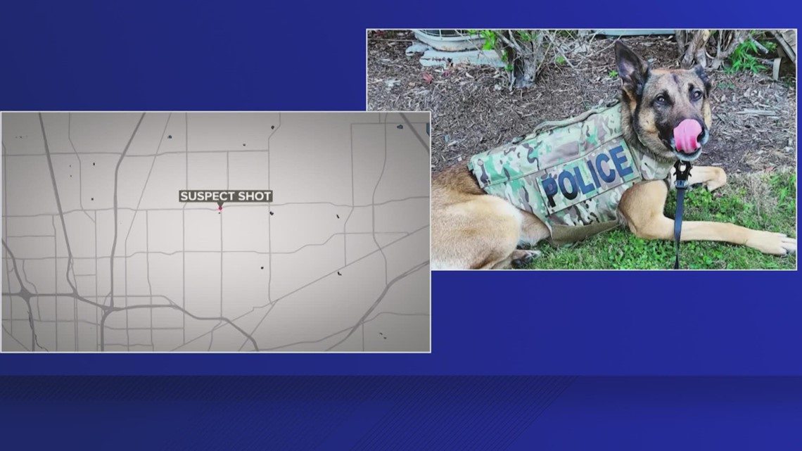 Houston crime: Carjacking suspect shot by officers, police say | khou.com