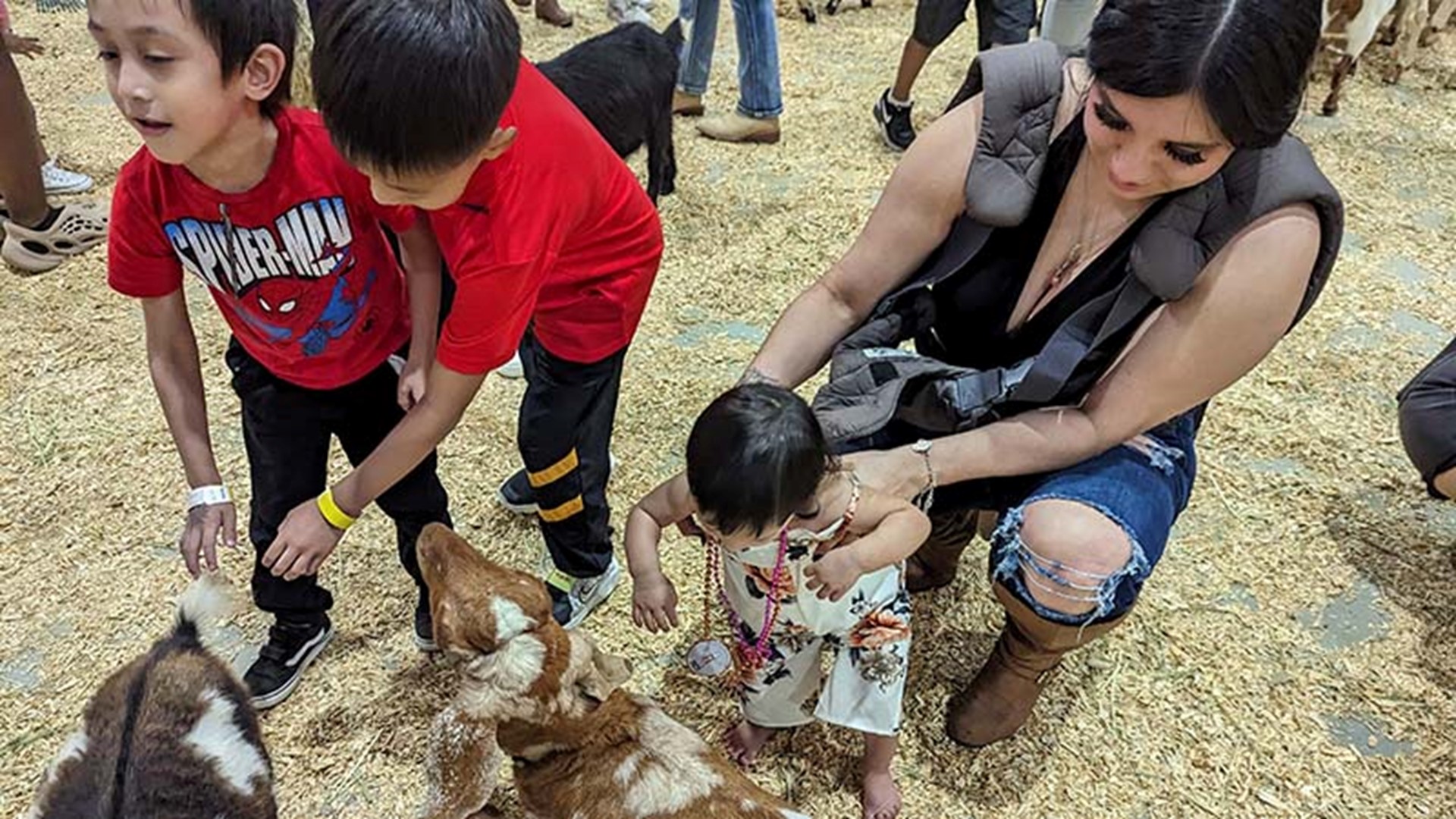 Houston Rodeo Bag Policy: What is not allowed | khou.com