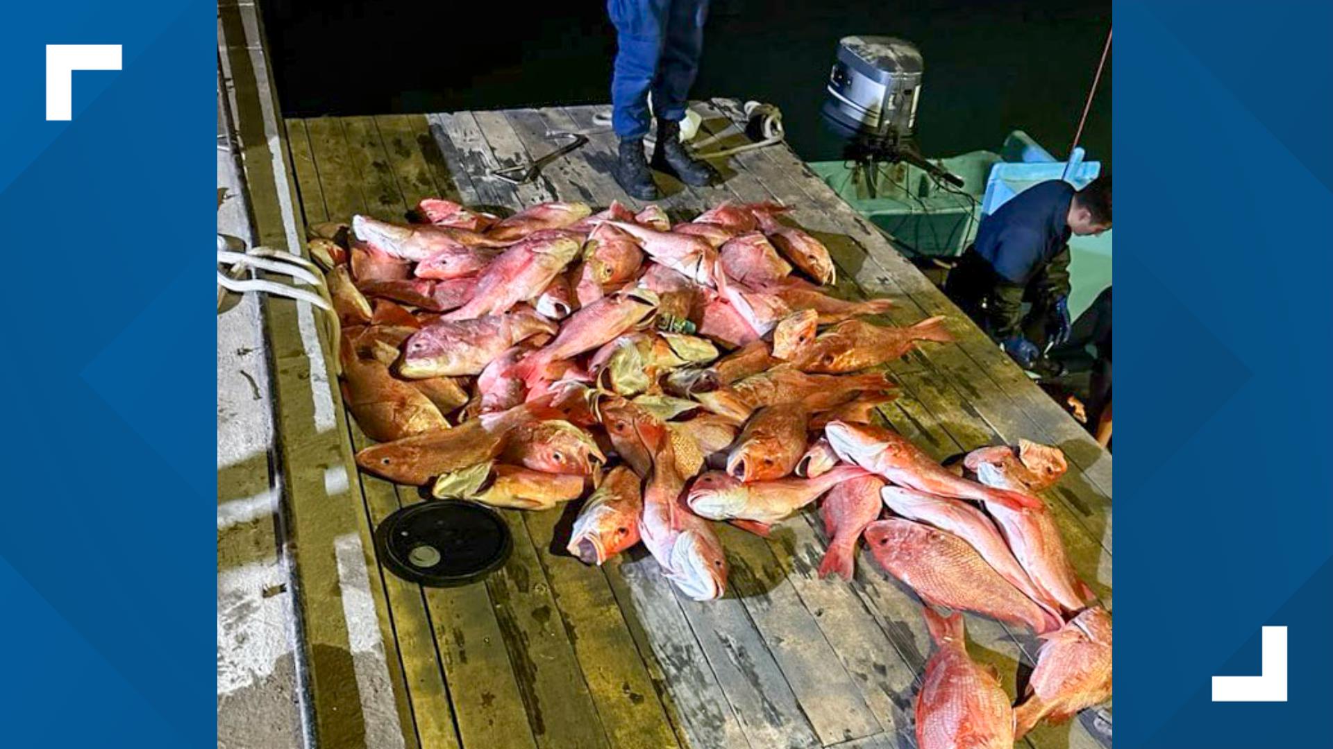 Coast Guard seizes illegally caught fish, sharks off Texas coast | 11 ...