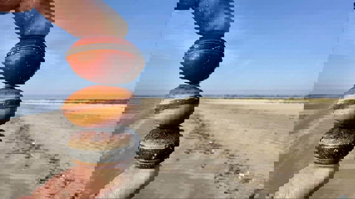 Beachcombing turns up weird finds on Texas beaches | PHOTOS | khou.com