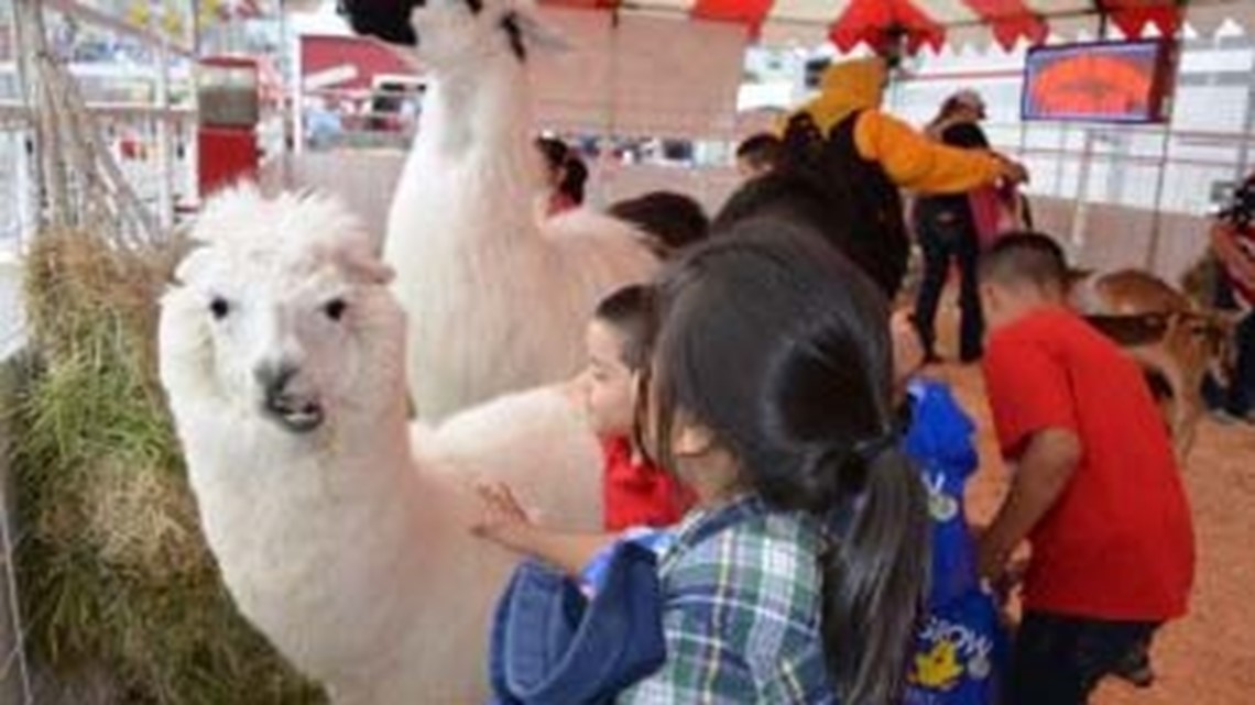 Photos: Rodeo petting zoo | khou.com