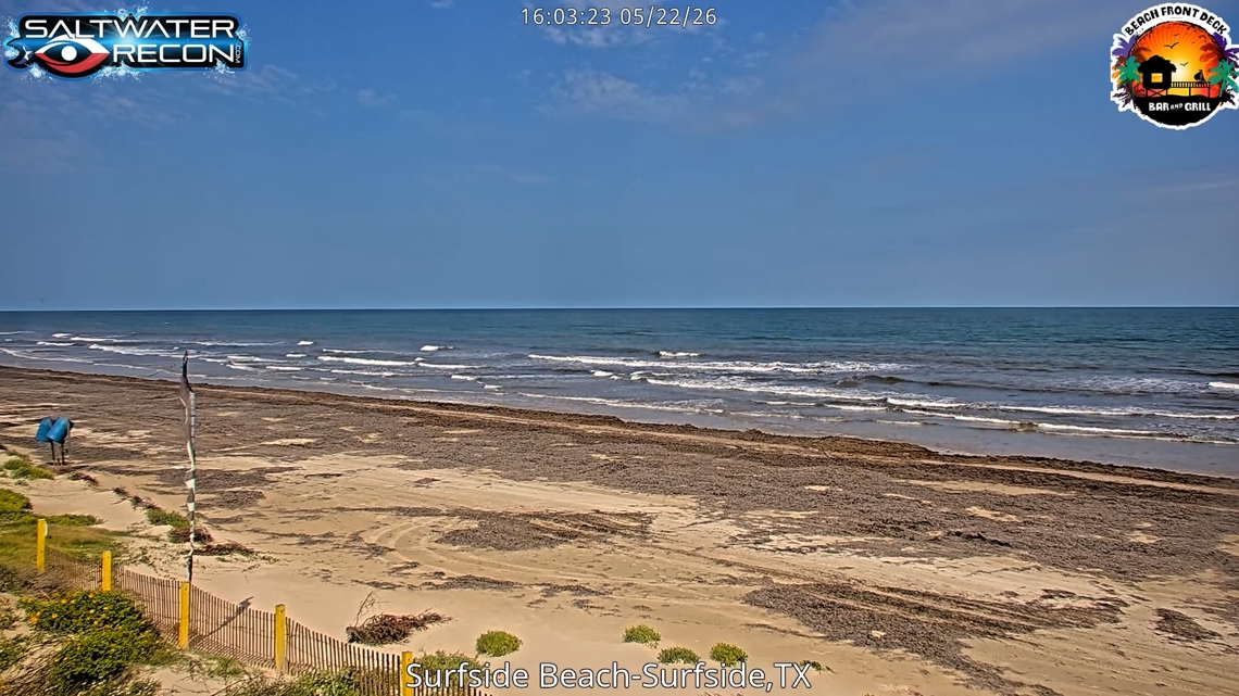 Freeport pauses seaweed cleanup at Bryan Beach to protect nesting sea ...