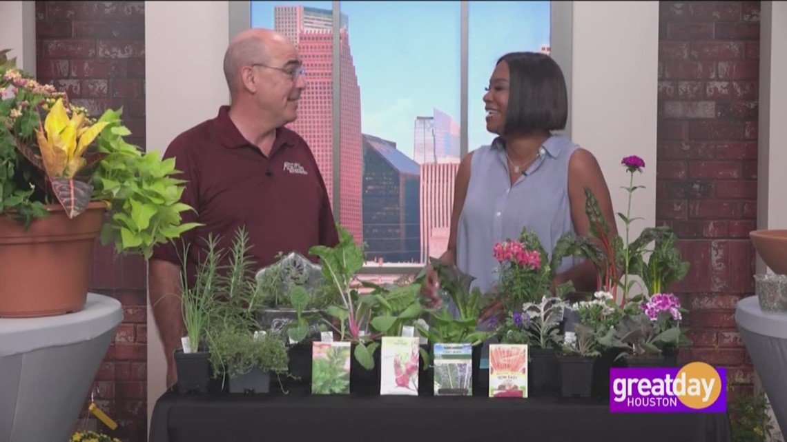 Robert "Skip" Richter is a Horticulture Agent with the Texas A&M | khou.com