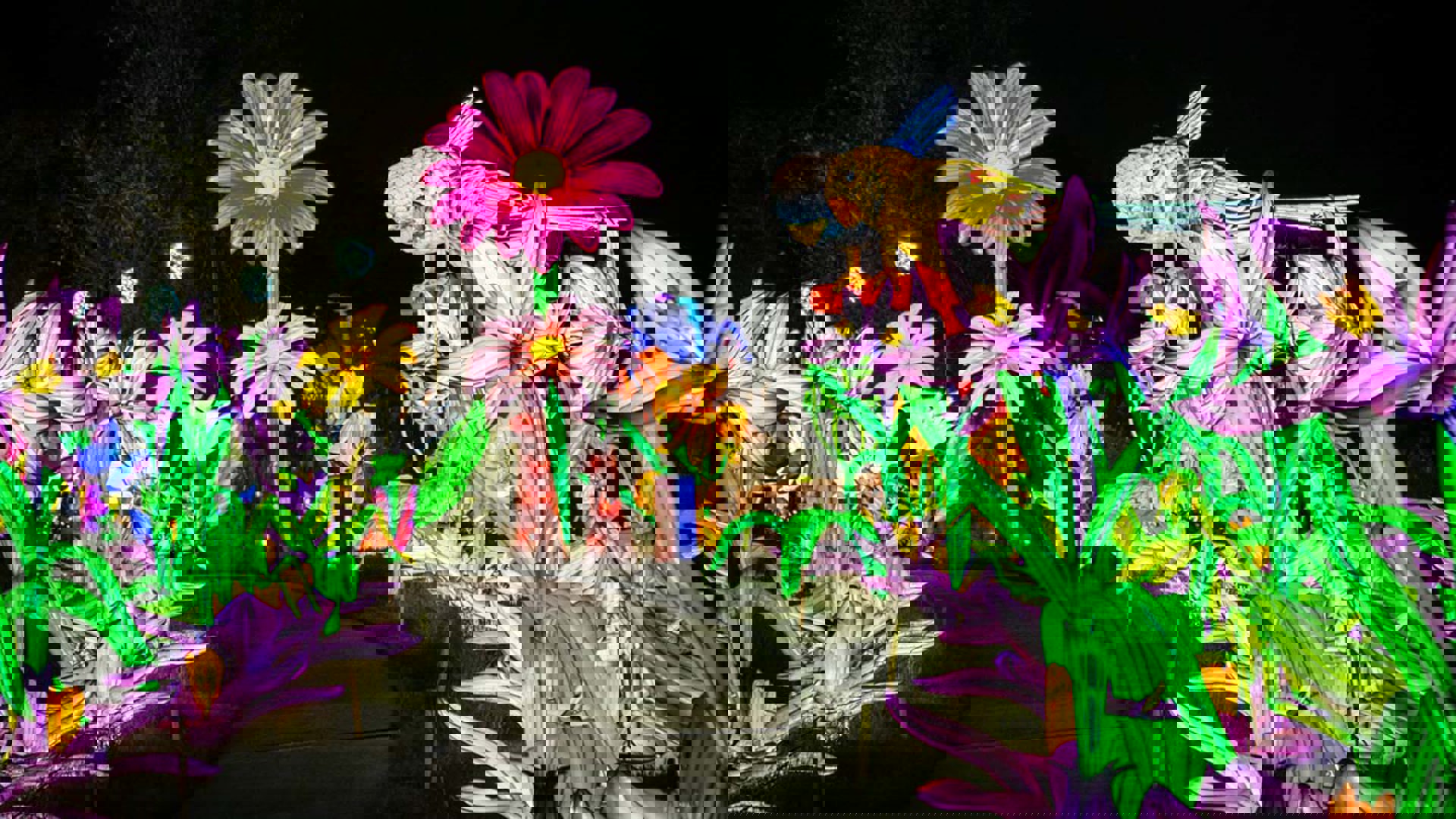 Biggest, best Christmas light displays, events in Houston area | khou.com