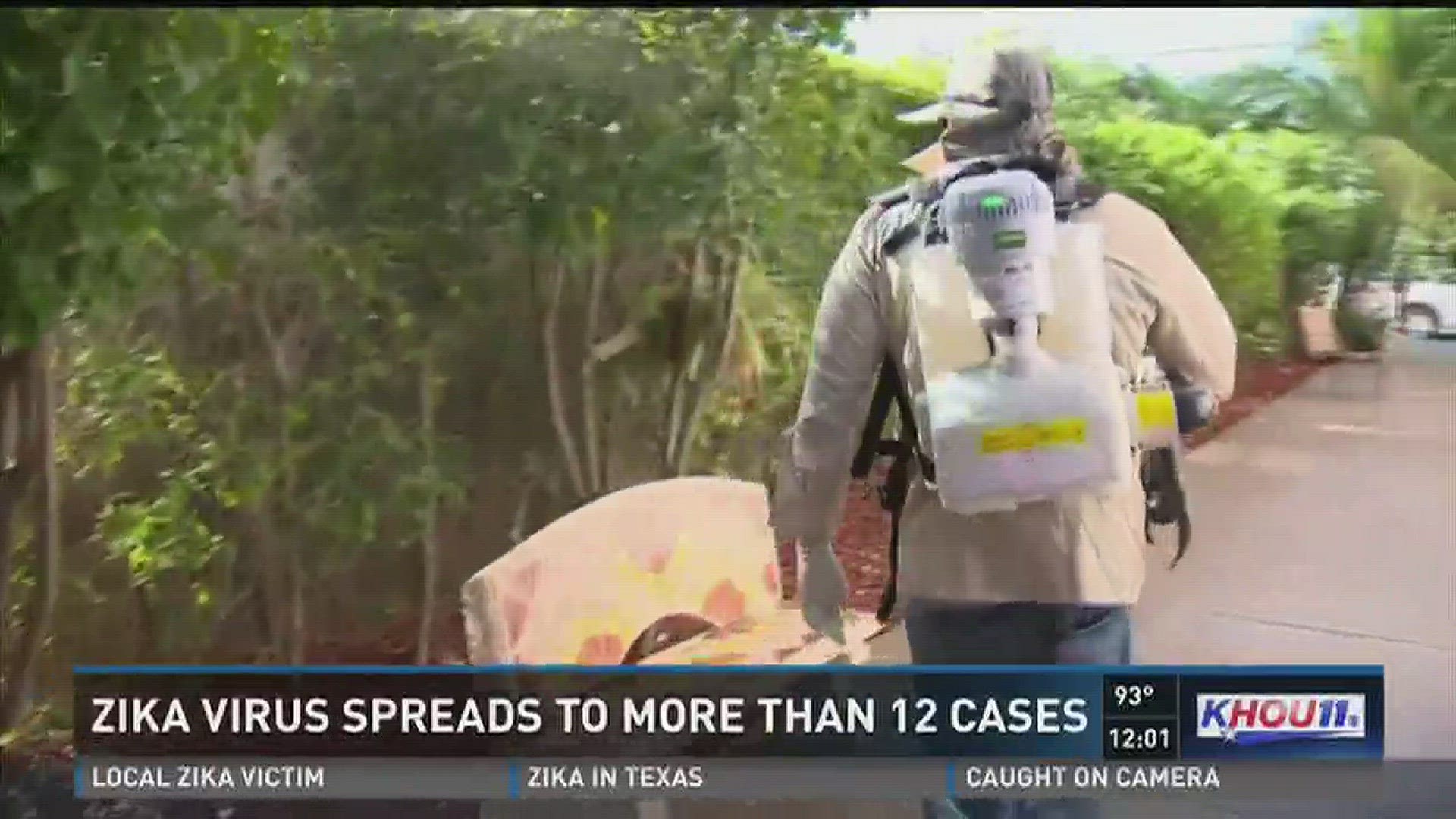 CDC struggling to wipe out mosquitoes carrying Zika virus in Florida ...