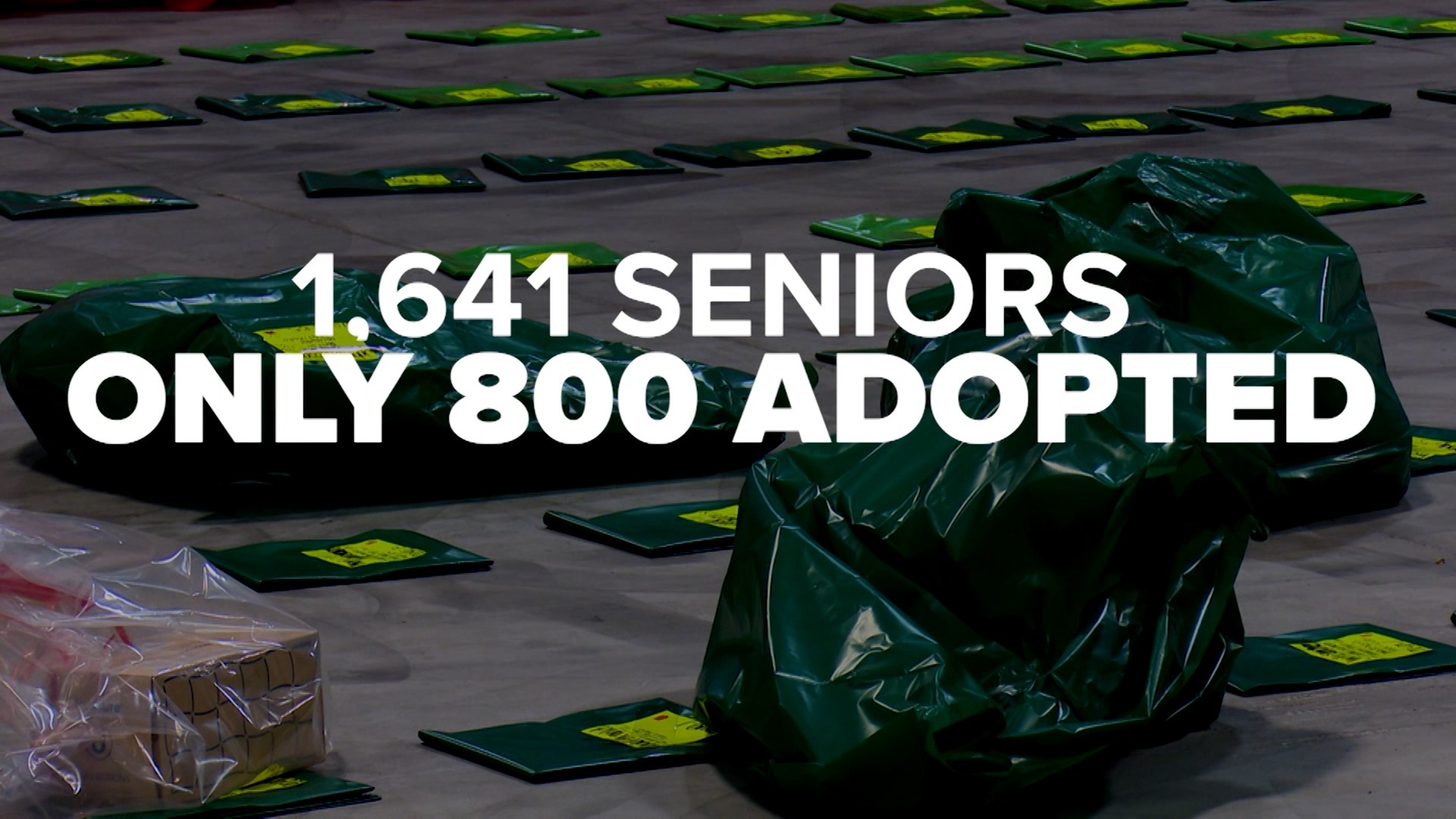 Autopsy reveals Ahmaud Arbery shot three times | khou.com