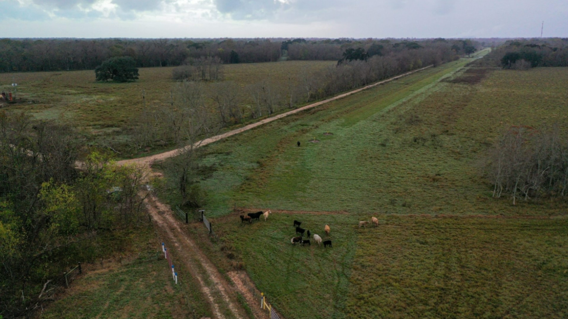 Texas ranch to change hands for the first time in 147 years | khou.com