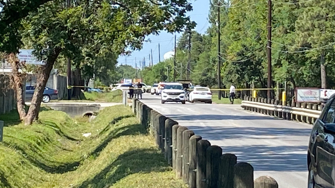 Newborn baby found dead in front plant in north Harris County | khou.com