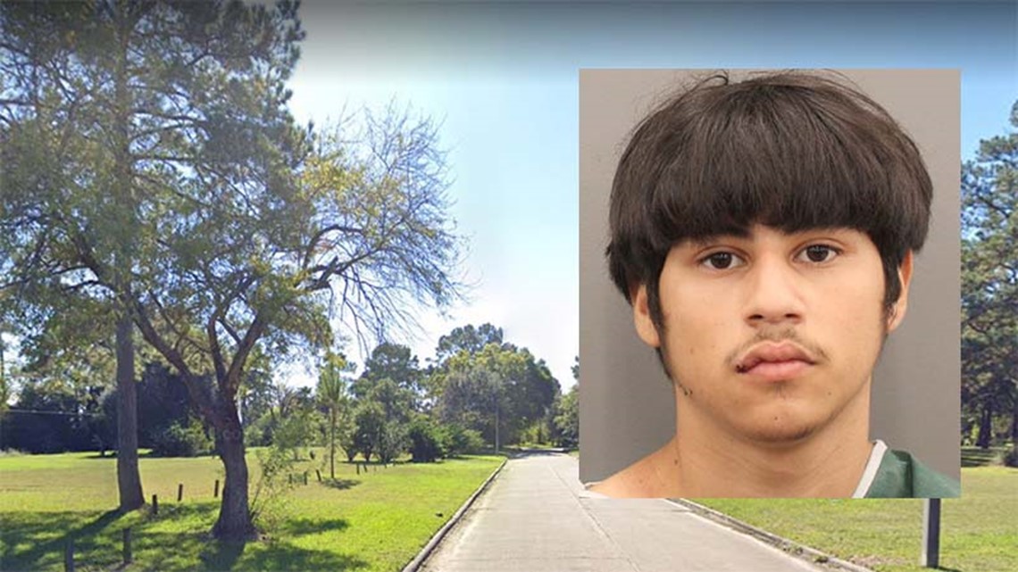 Houston crime: 2 teens charged with kidnapping, raping woman | khou.com