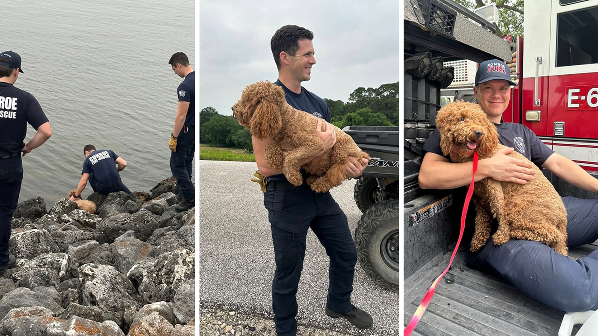 Firefighters rescue stranded dog | khou.com