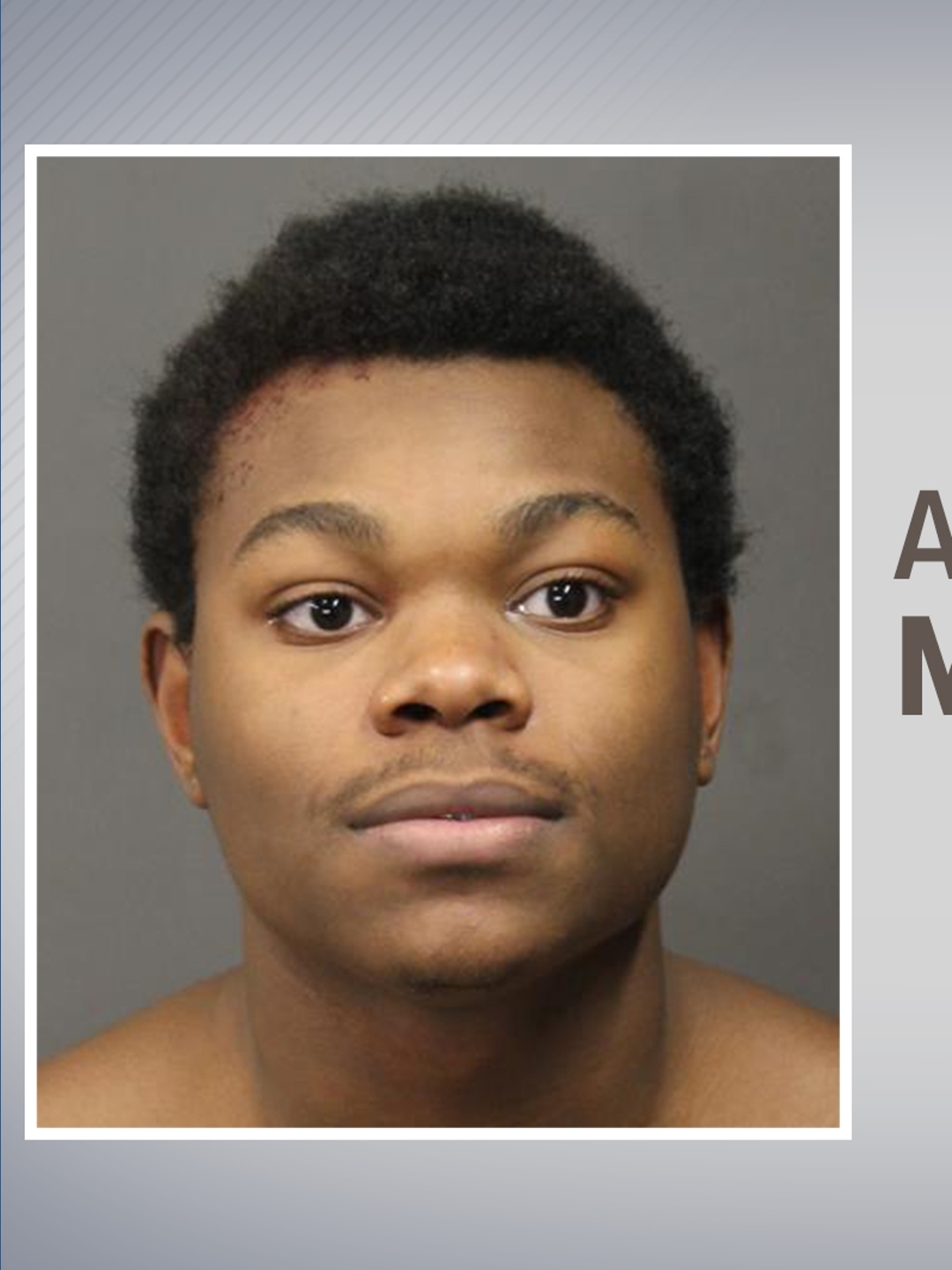 Baytown Sterling student charged with murder in stabbing death ...