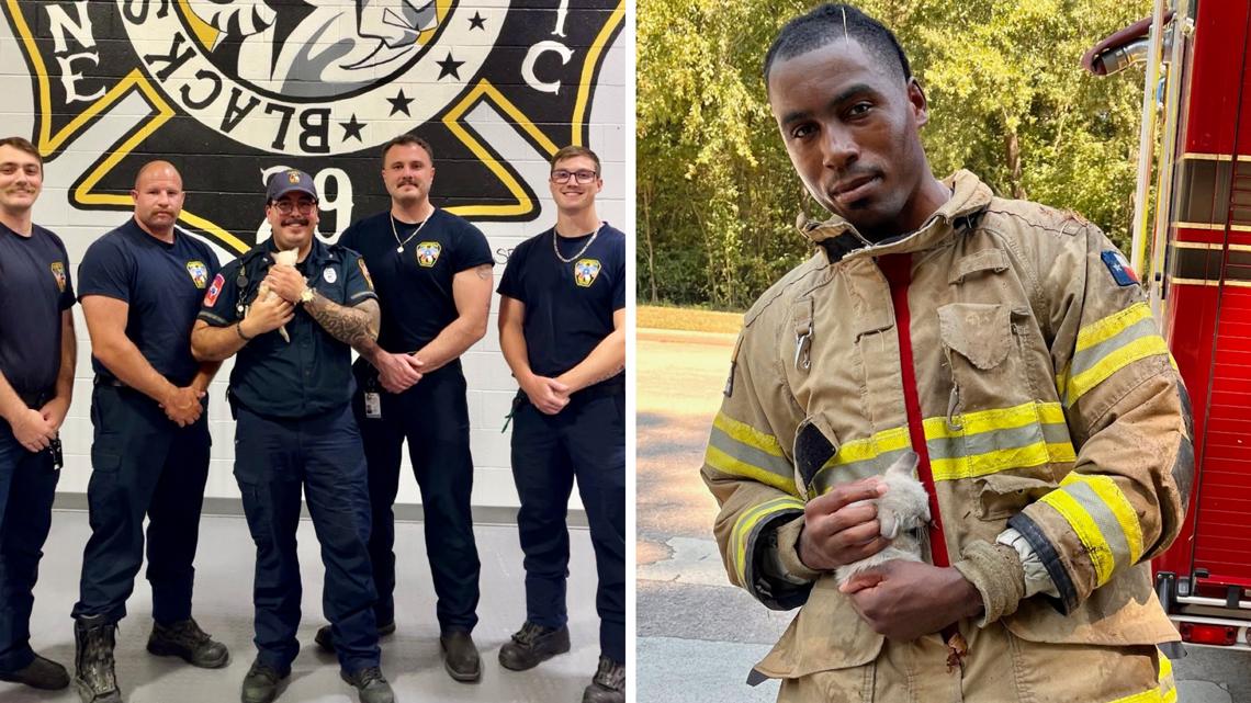 What does "no sabo kid" mean? | khou.com