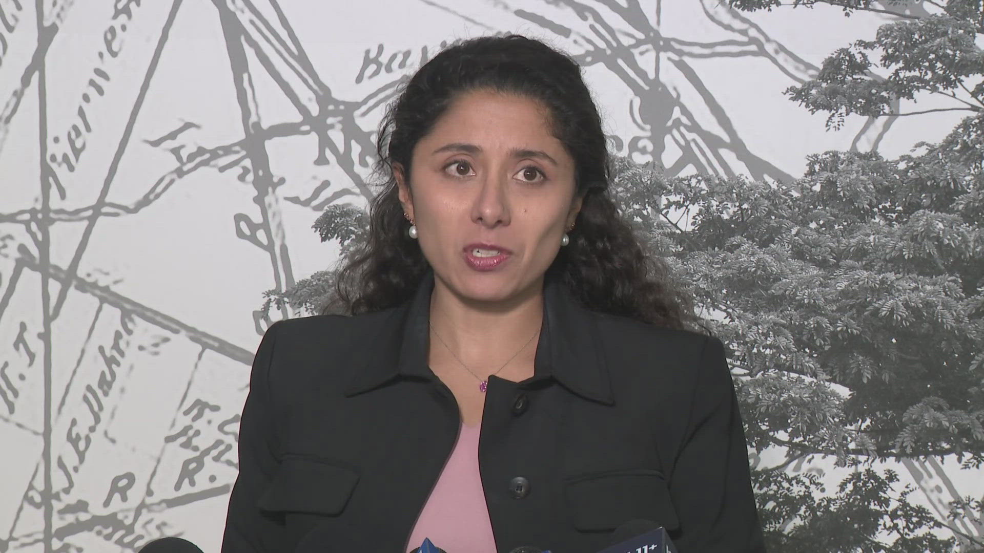 Harris County bid-rigging cases end as Hidalgo slams former DA | khou.com