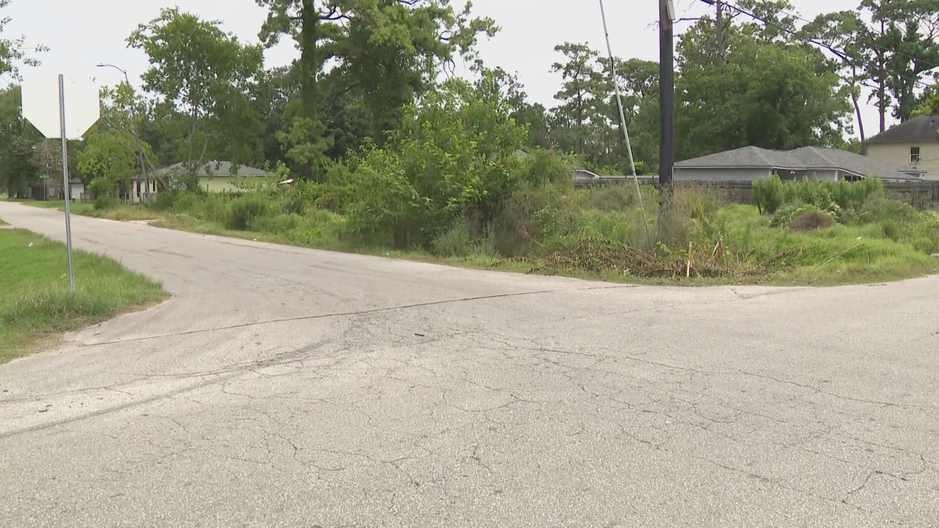 Overgrown lot in northeast Houston blocks traffic, neighbors say | khou.com
