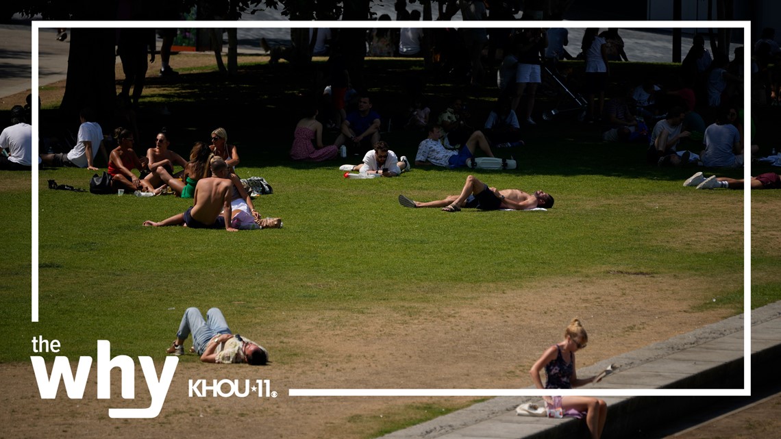 Moses Adams Jr. Emancipation Proclamation painting | khou.com