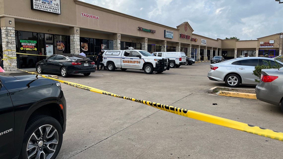 Man killed, 2 hurt after shooting at Vienna Lounge on Bissonnet | khou.com