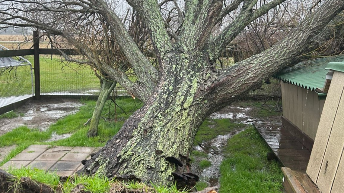 Severe weather Houston: Strong winds, flooding and tornadoes | khou.com