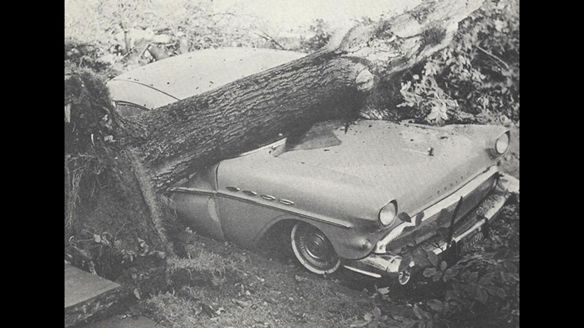 Weather rewind: A look back at the Columbus Day Storm on 60th ...