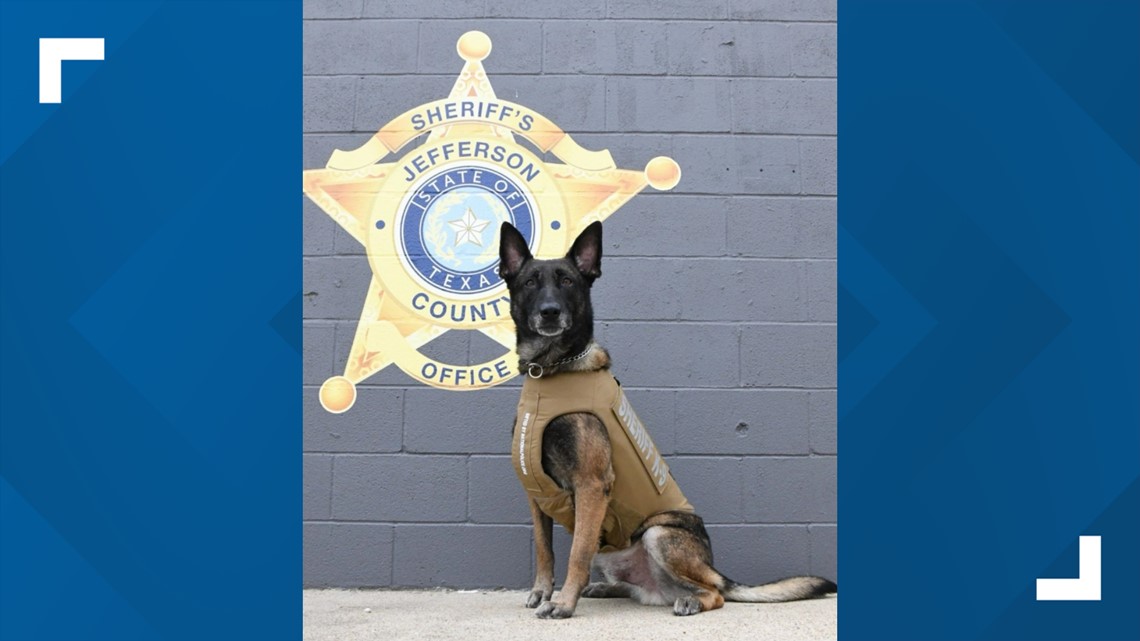 Jefferson County Sheriff's Office K9 gets new body armor | khou.com