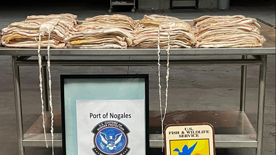 $2.7M worth of fish organs seized at Arizona border | khou.com
