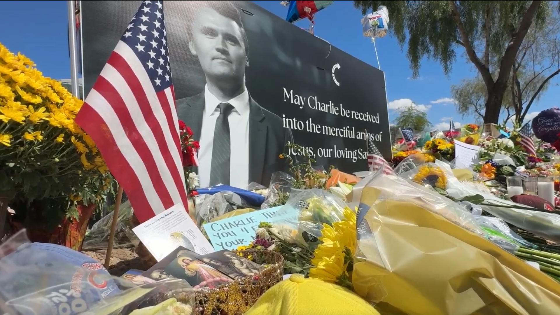 Houston experts warn deadly trend may mark new age of political ...
