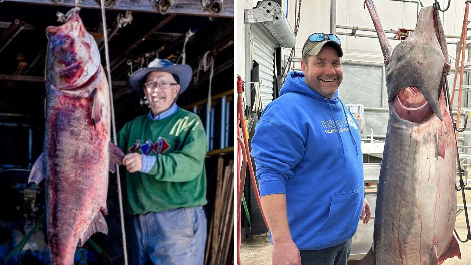 Two fishing world records broken in Missouri in 2024 | khou.com