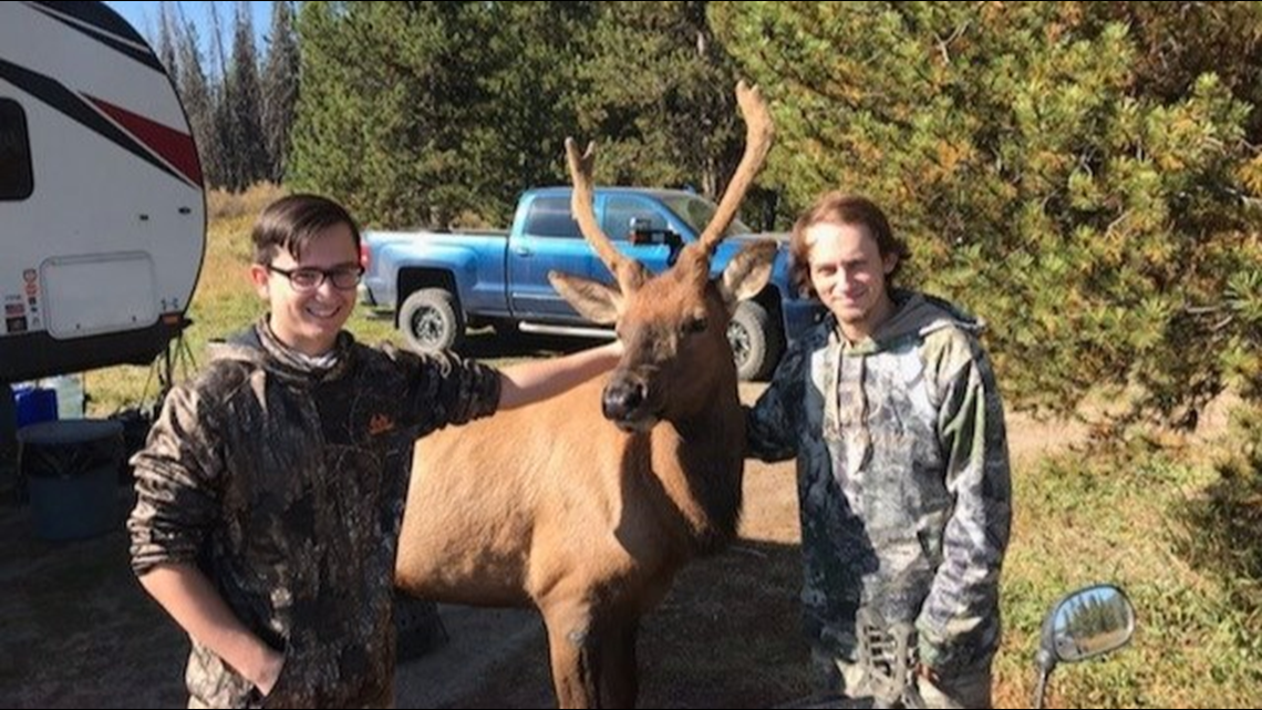 ‘Holy cow, that’s Elliot': Friendly elk hangs out with hunters for 5 ...
