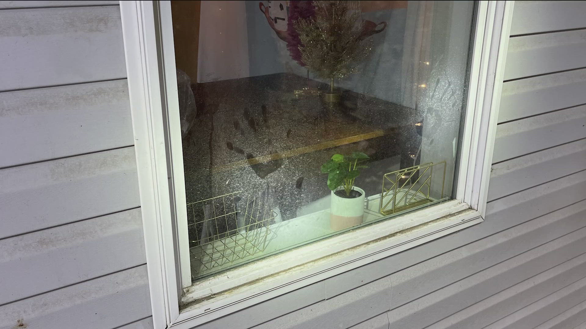 Photos, videos from scene where Brian Kohberger killed 4 Idaho college ...