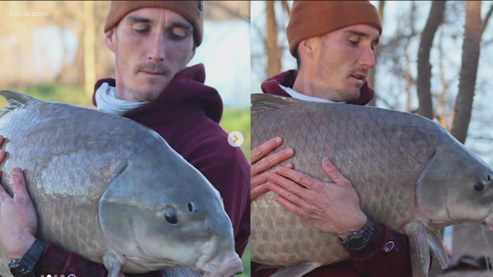 Austinite catches record-breaking 64-pound fish in Lady Bird Lake ...