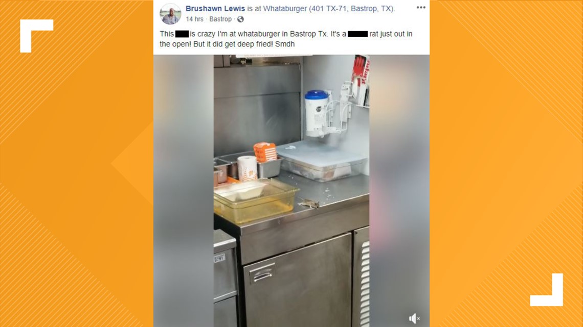 'It's a deep-fried rat': Man behind viral Whataburger mouse video ...