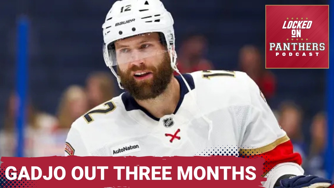 ANOTHER CAT OUT LONG TERM: Jonah Gadjovich expected to be out for three ...