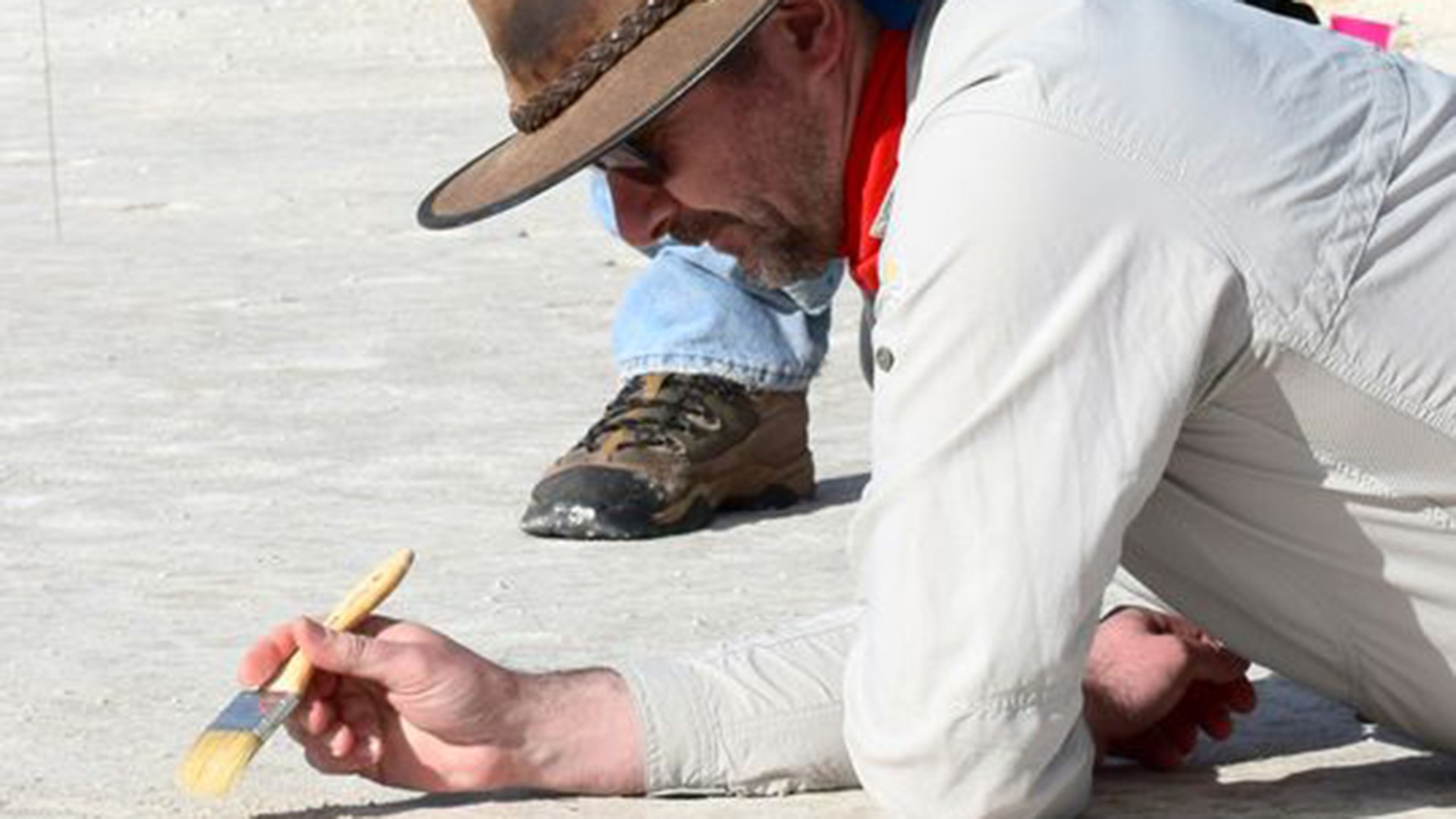 Giant sloths with wolverine-like claws used to roam America, and humans ...