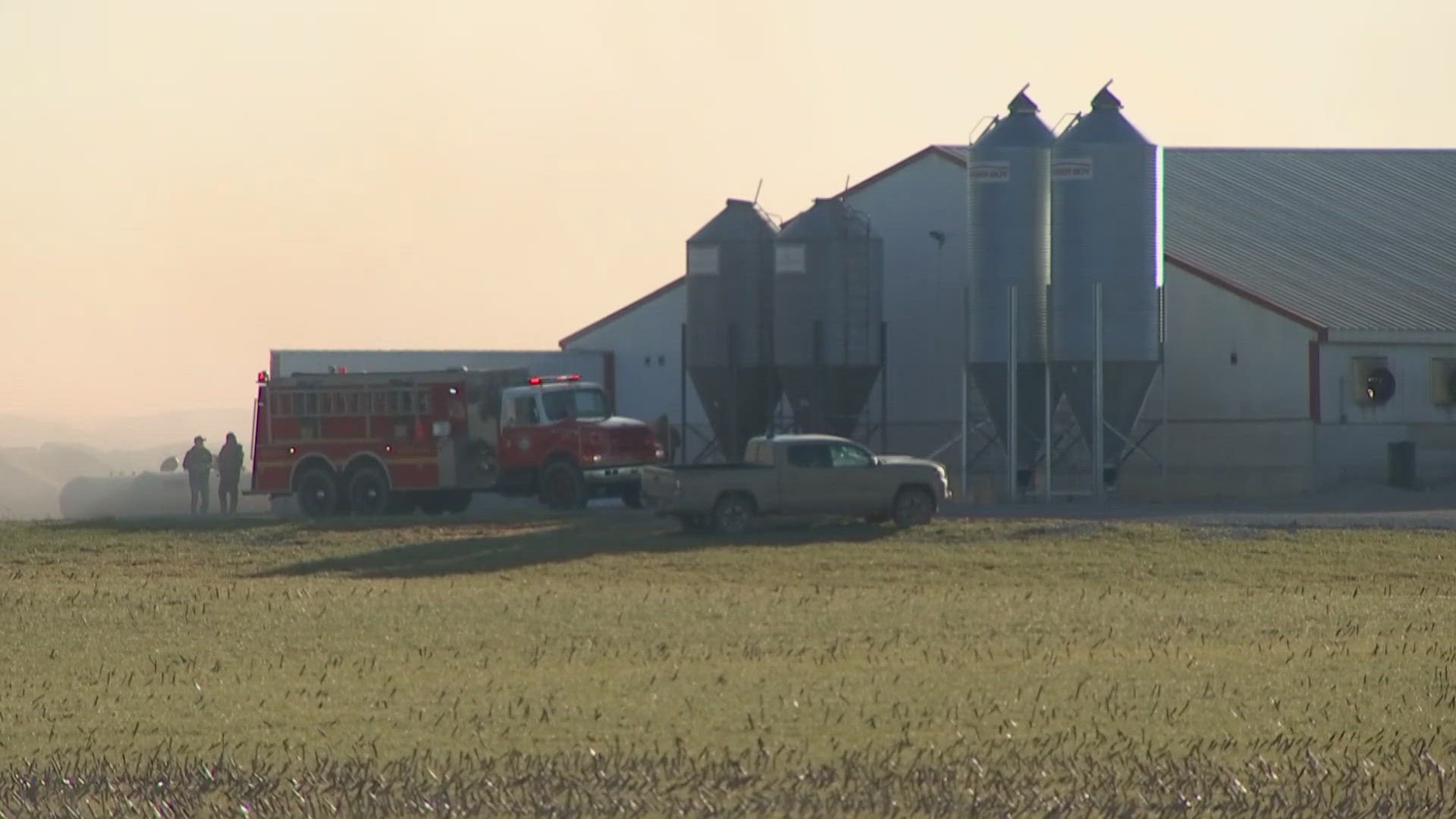 6,000 pigs killed in massive barn fire in Ohio | khou.com
