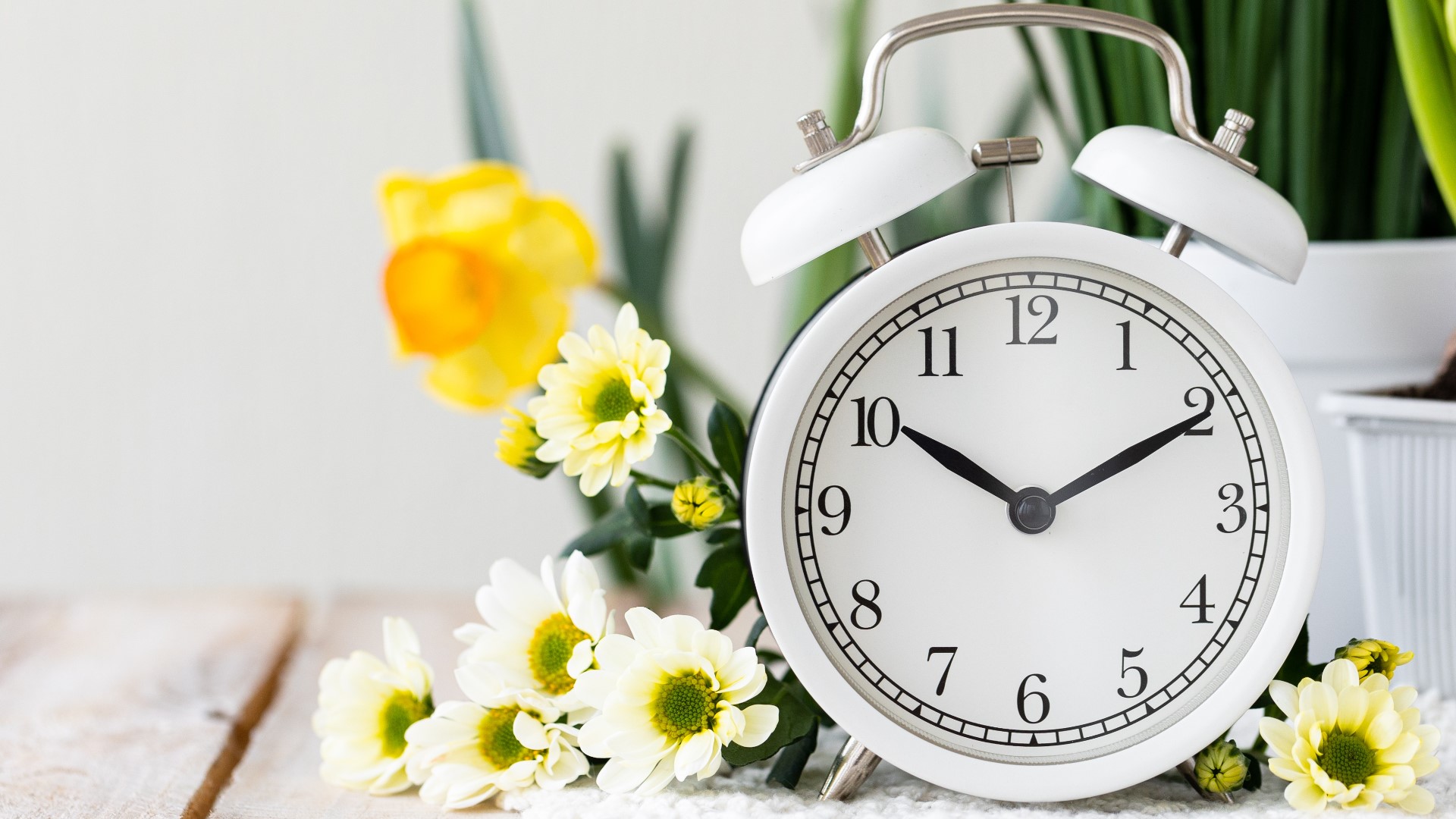 Making daylight saving time permanent: Where all 50 states stand | khou.com