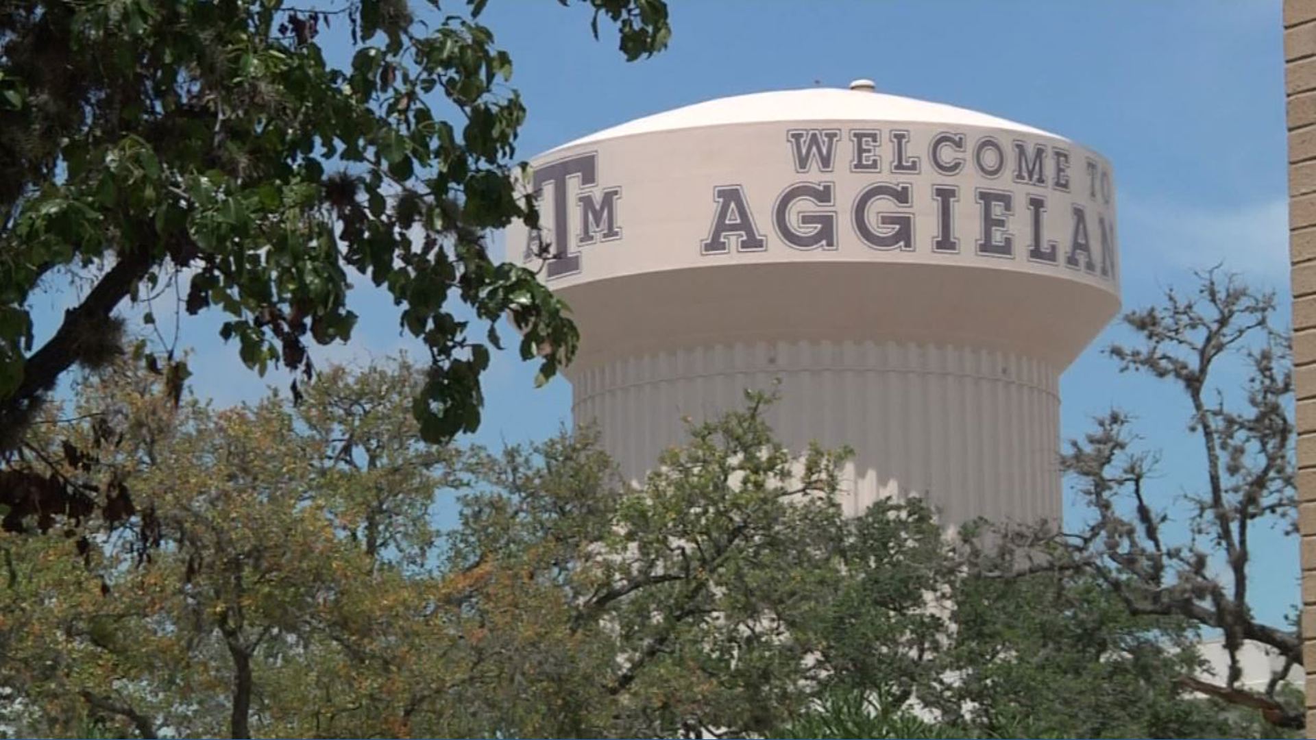 Texas A&M system approves policy to restrict faculty from advocating ...