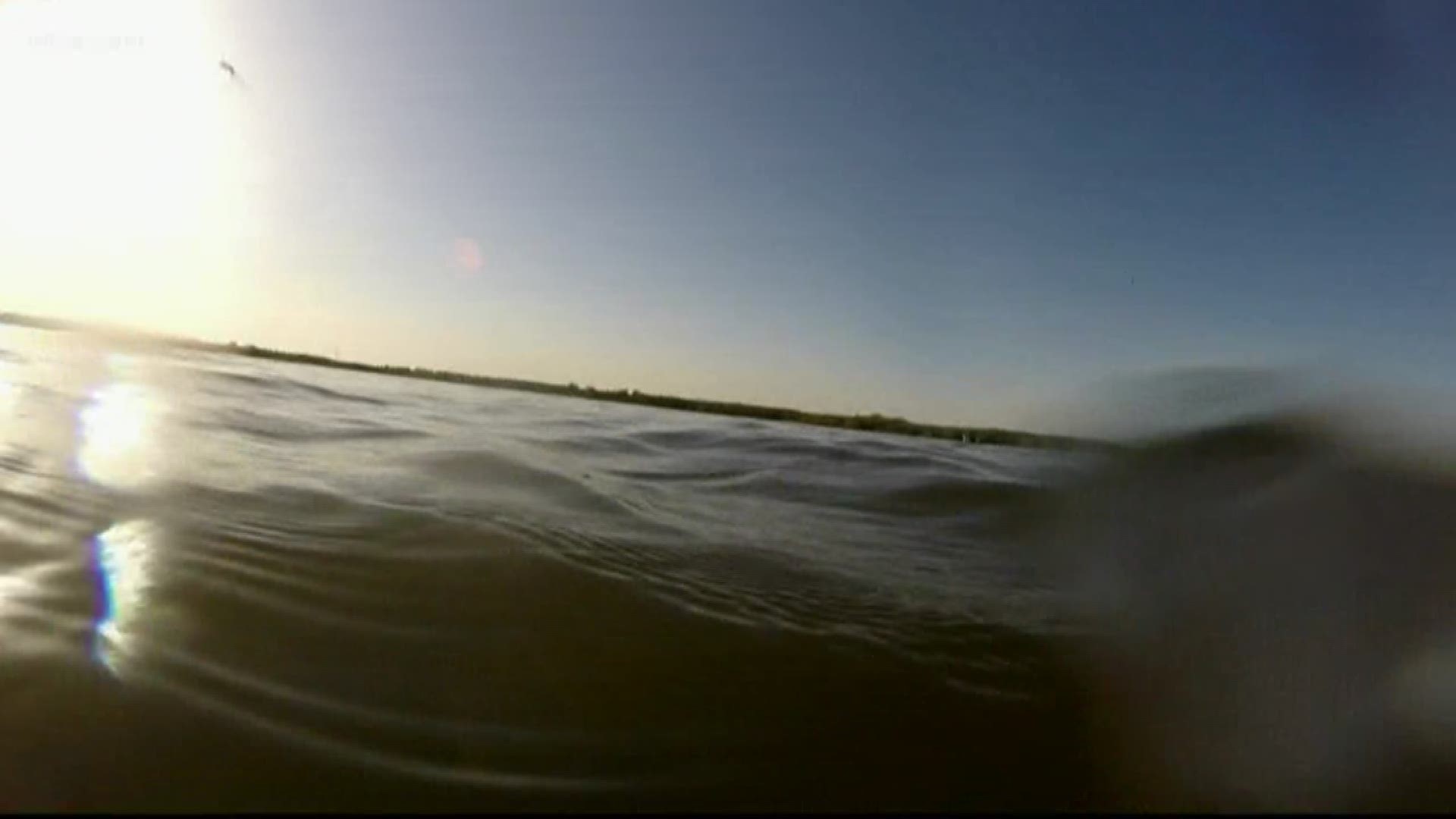 Fisherman captures alligator spotted in Lake Arlington | khou.com