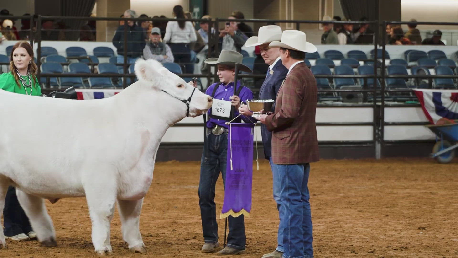 'White Castle' Grand Champion Steer shatters auction record at Fort ...