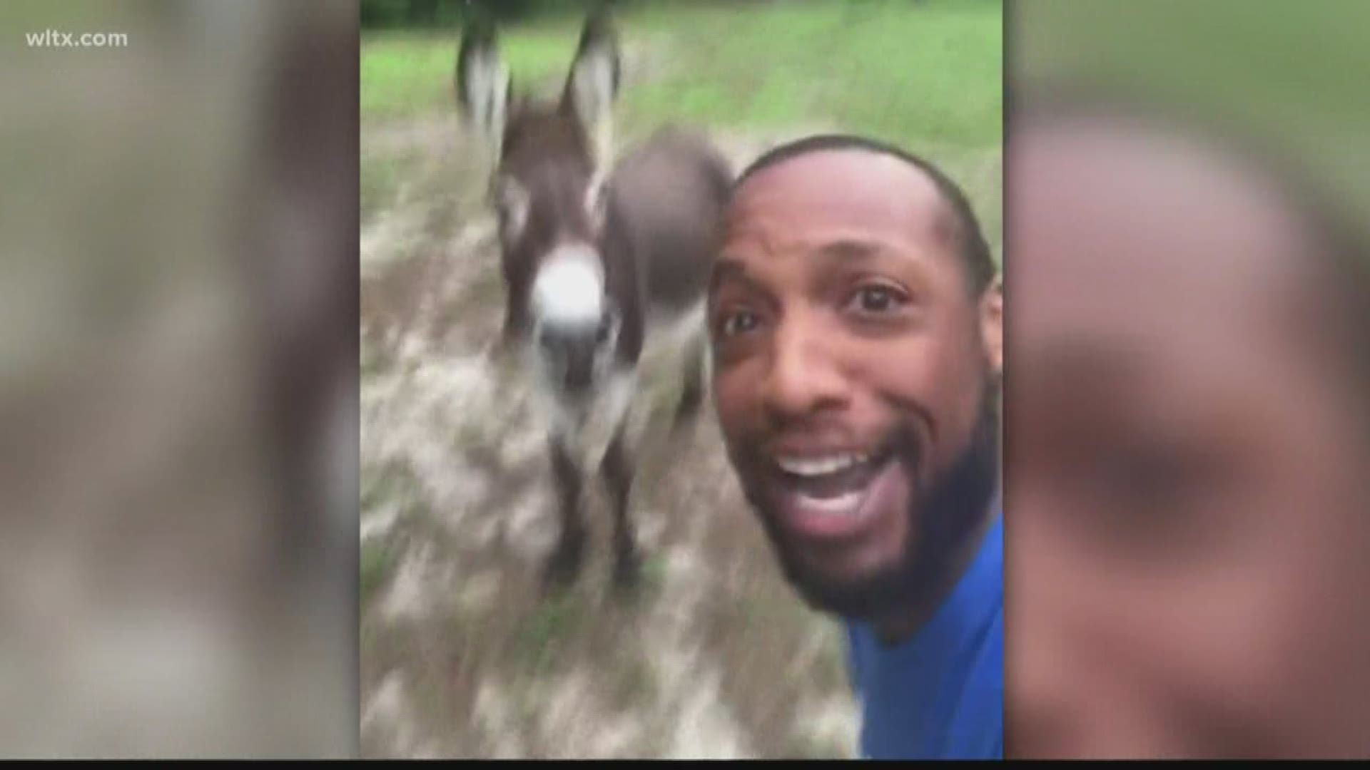 SC man goes viral after singing with his donkey | khou.com