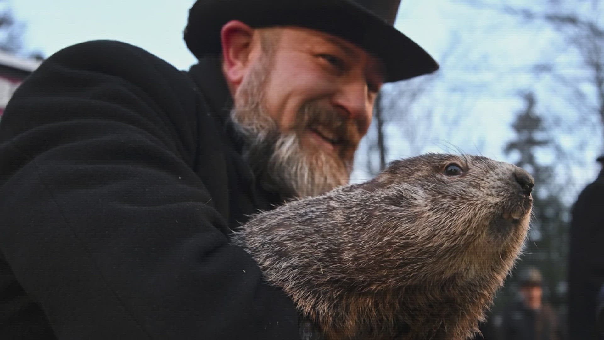 Groundhog Day 2024: Did Punxsutawney Phil see his shadow? | khou.com