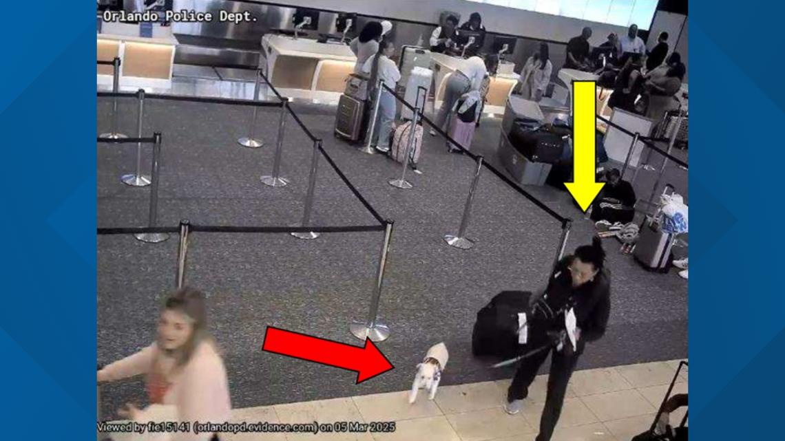 Florida woman drowned dog in airport bathroom after denied boarding ...