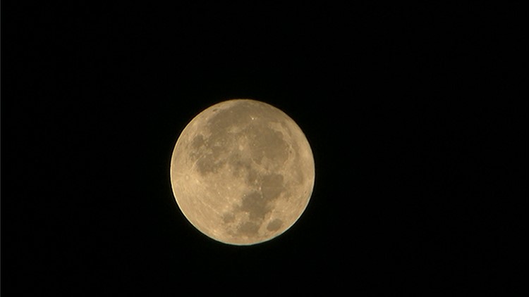 You can still see the Pink Moon tonight | khou.com