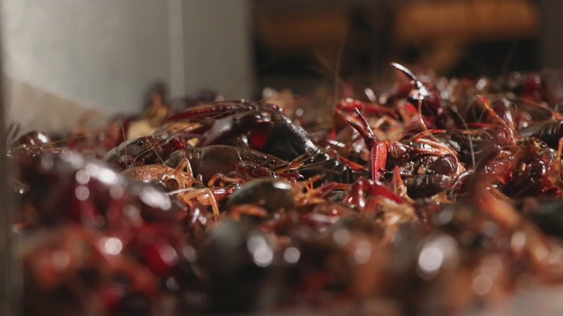 Arctic freeze expected to reduce crawfish numbers | khou.com